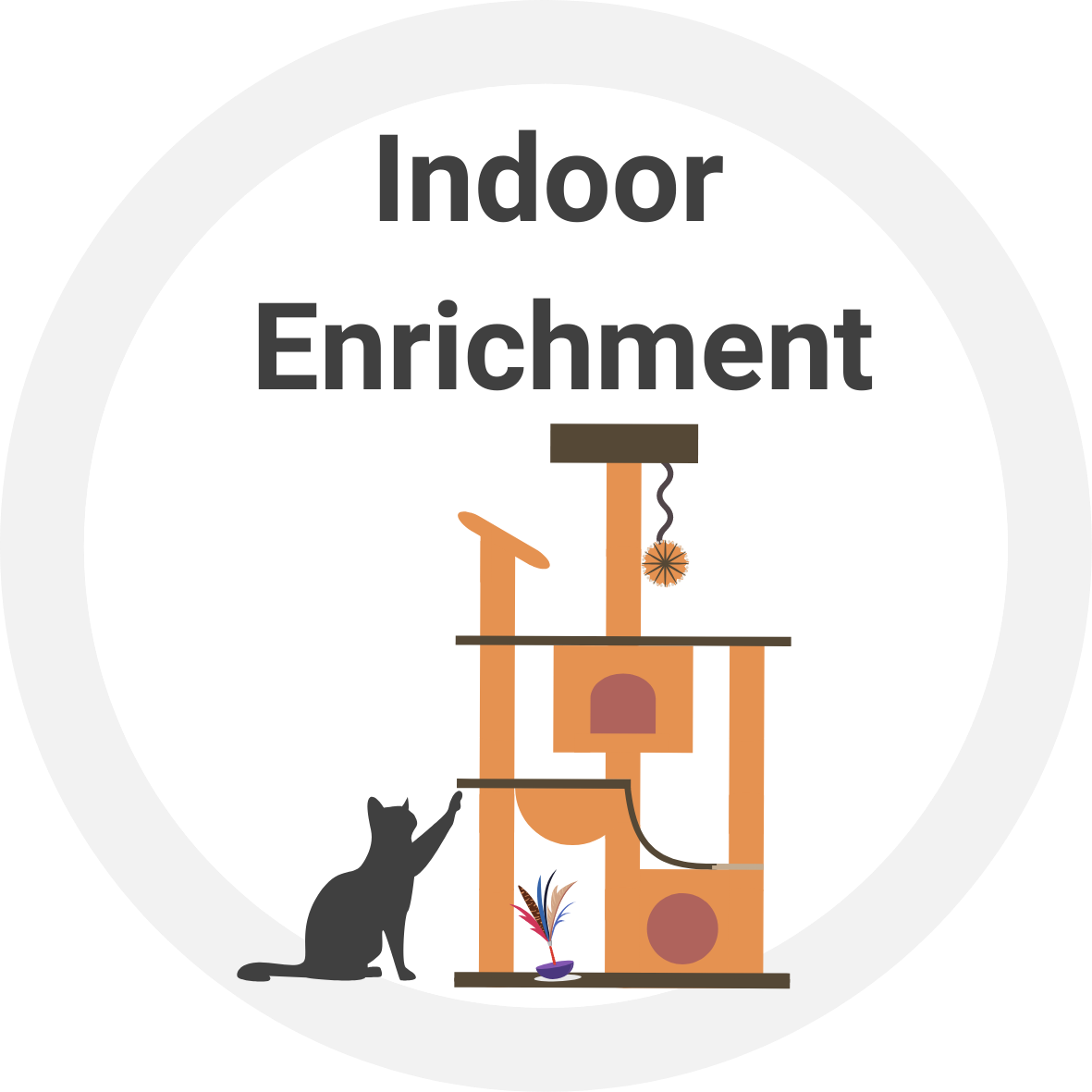 Create a purr-fect environment for your cat - Stewardship Centre for BC