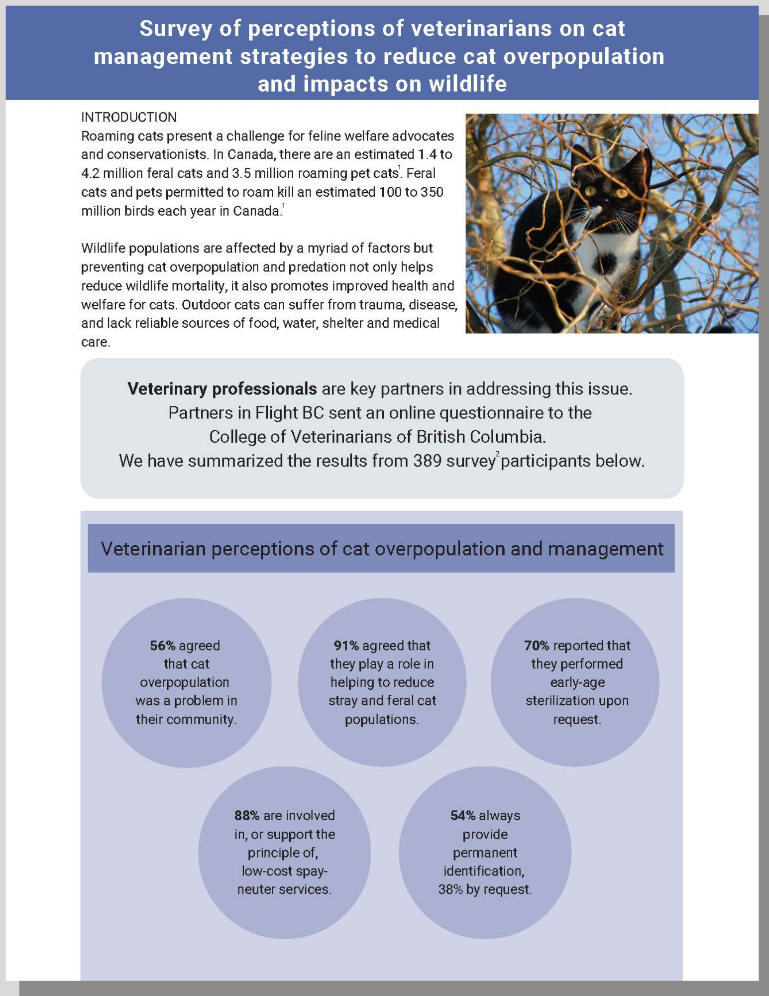 Cats and Birds Resources - Stewardship Centre for BC