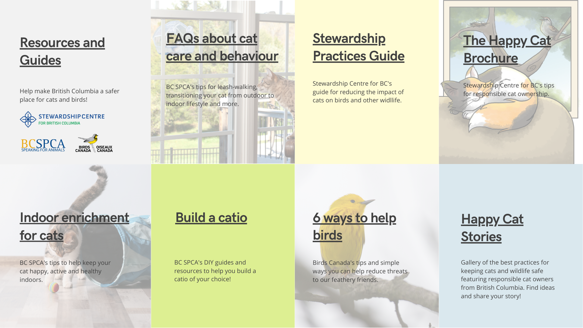 Cats and Birds Resources - Stewardship Centre for BC