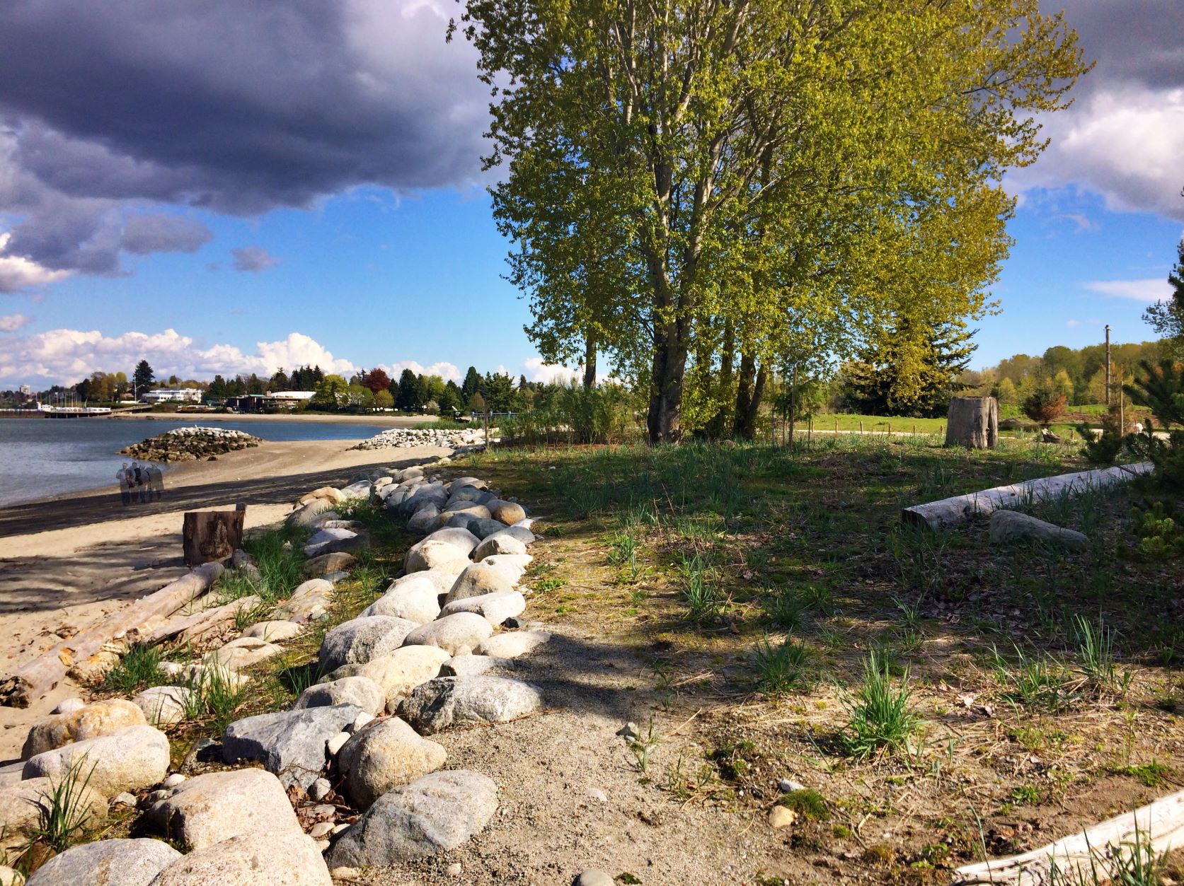 Getting Started with Green Shores® for Shoreline Development ...