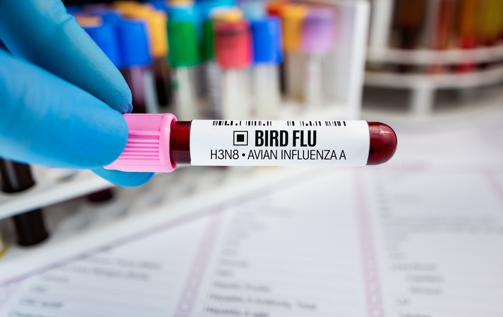Avian Flu and Risk to Domestic Cats - Stewardship Centre for BC